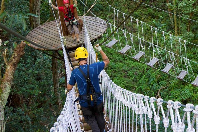 Big Island Kohala Zip and Dip Tour from Kona - The Value and Practicalities