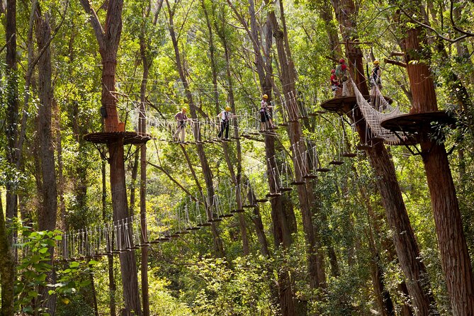 Big Island Kohala Zip and Dip Tour from Kona - Authentic Reviews and Insights
