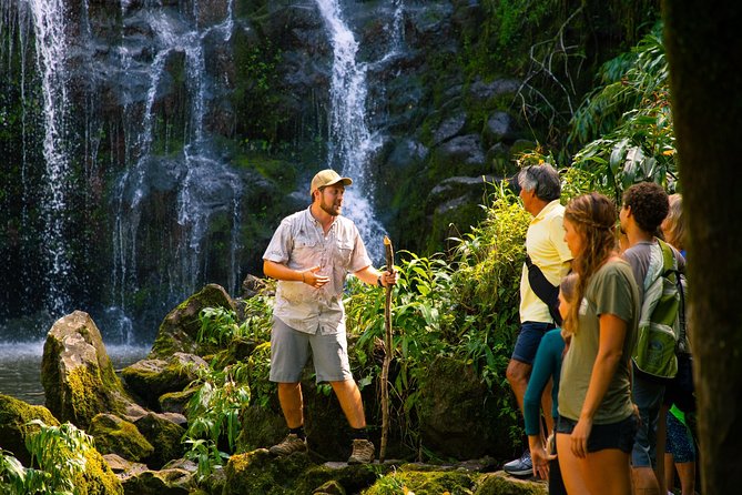 Big Island Kohala Zip and Dip Tour from Kona - Who Should Consider This Tour?