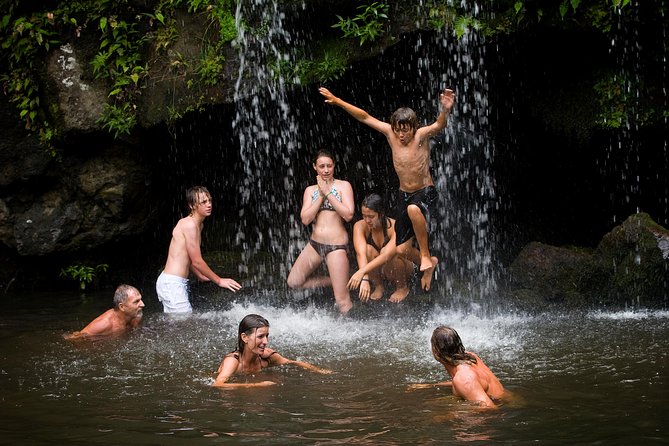 Big Island Kohala Zip and Dip Tour from Kona - The Sum Up