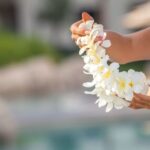 Big Island: Kona Airport Traditional Lei Greeting - What to Expect During the Greeting