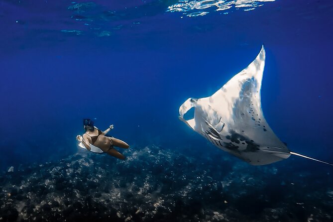 Big Island, Kona Manta Ray Night Snorkel Tour - FAQs
