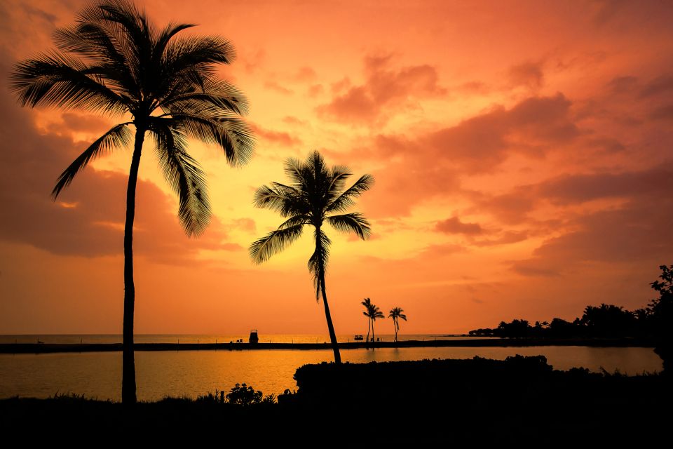 Big Island: Luxury Catamaran Trip along the Kona Coast - The Sum Up