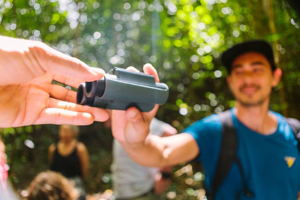 Big Island: Native Bird Watching & Hiking Tour - An In-Depth Look at the Experience