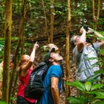 Big Island: Native Bird Watching & Hiking Tour - The Value of This Tour