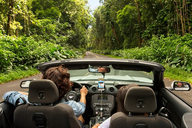 Big Island North Island Jungle Adventure - Self-Guided Audio Tour - The Sum Up