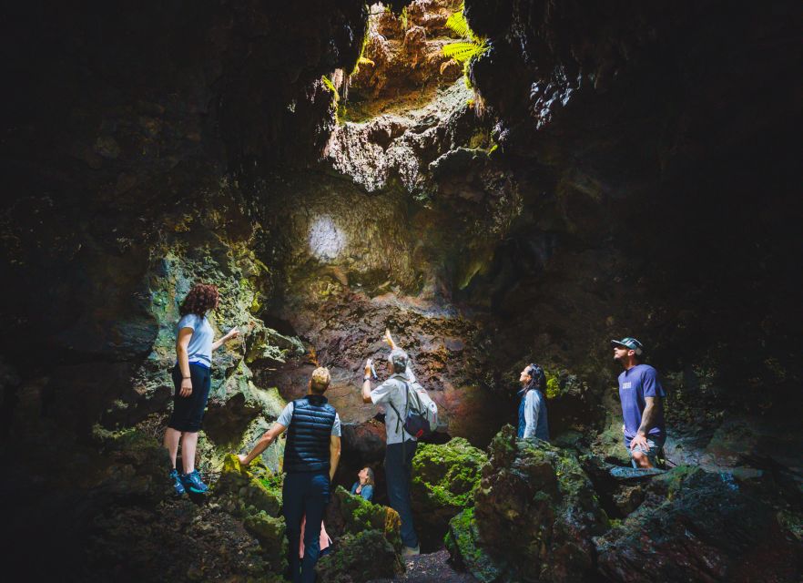 Big Island: Off the Beaten Path Volcano Crater Hike - Highlights of the Itinerary