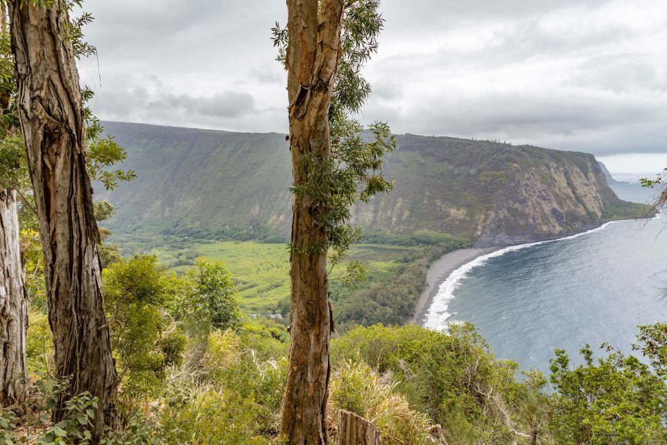 Big Island: Private Island Circle Tour with Lunch and Dinner - A Full-Day Adventure through Hawaii’s Most Iconic Spots
