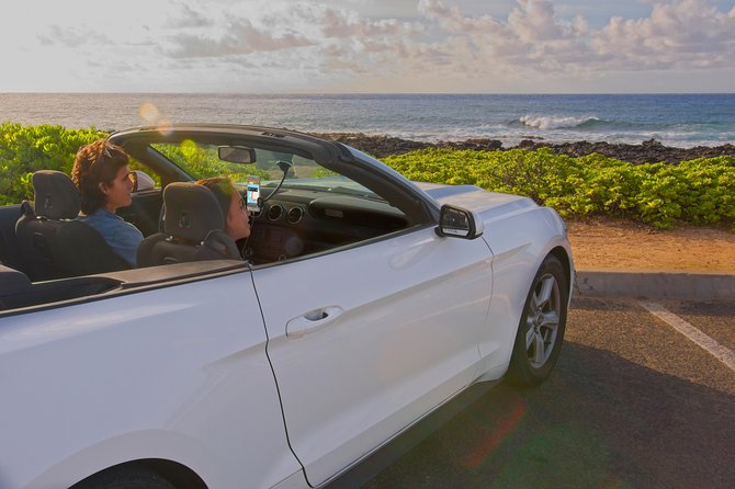 Big Island - South Island Coastal Loop Driving Tour - Experience Quality and Practicalities