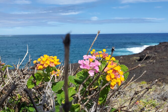 Big Island Southside ATV Tour - Why This ATV Tour Stands Out