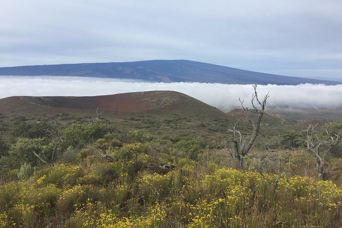 Big Island Volcano Adventure from Kona: Small Group - Final Thoughts: Who Will Love This Tour?
