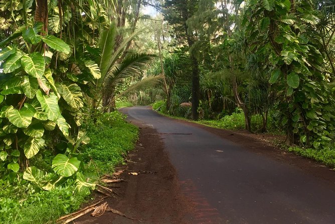 Big Island Volcano Adventure from Kona: Small Group - Wrapping It Up