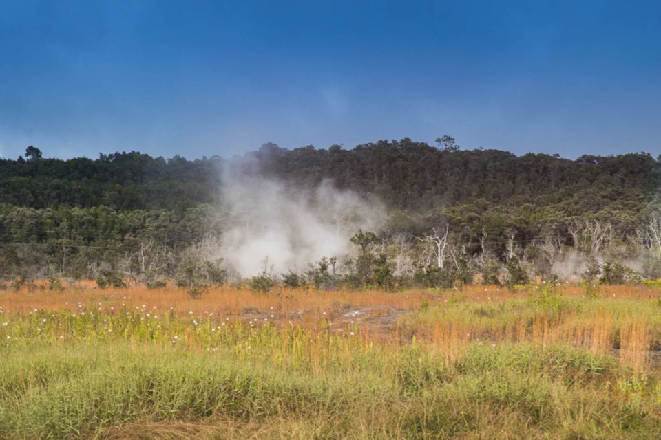 Big Island: Volcanoes, Waterfalls, & Coffee Farm Day-Trip - Who Will Enjoy This Tour?