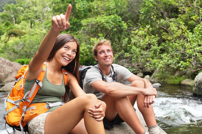 Big Island Waterfall Swim and Hike with Hilo Cruise Ship Pickup - An In-Depth Look at the Tour Experience