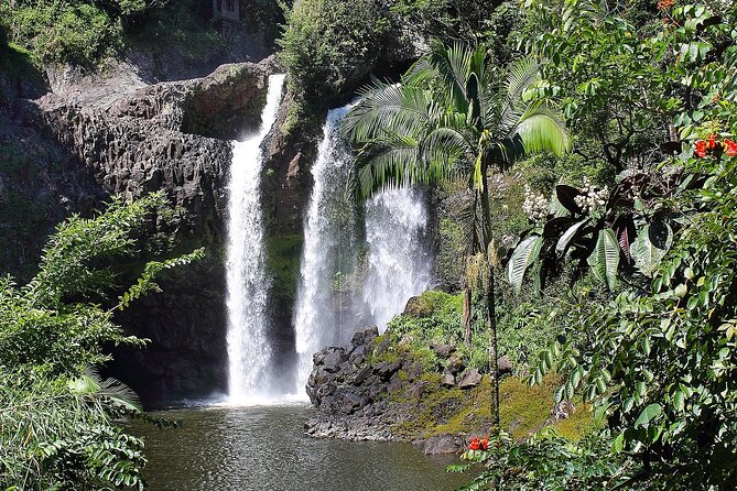 Big Island Waterfall Swim and Hike with Hilo Cruise Ship Pickup - Authentic Insights from Guests