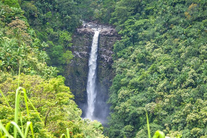 Big Island Waterfall Swim and Hike with Hilo Cruise Ship Pickup - Who Might Want to Consider Other Options