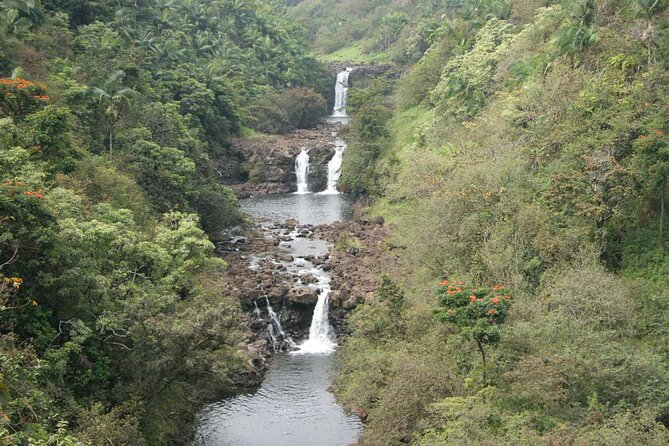 Big Island Waterfall Wonders Slingshot Private Tour - What to Expect from the Experience