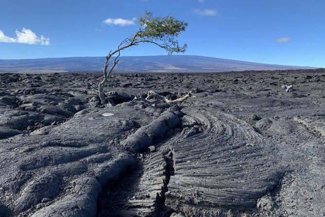 Big Island Waterfalls Tour with Swimming and Botanical Garden - Food, Drinks, and Inclusions