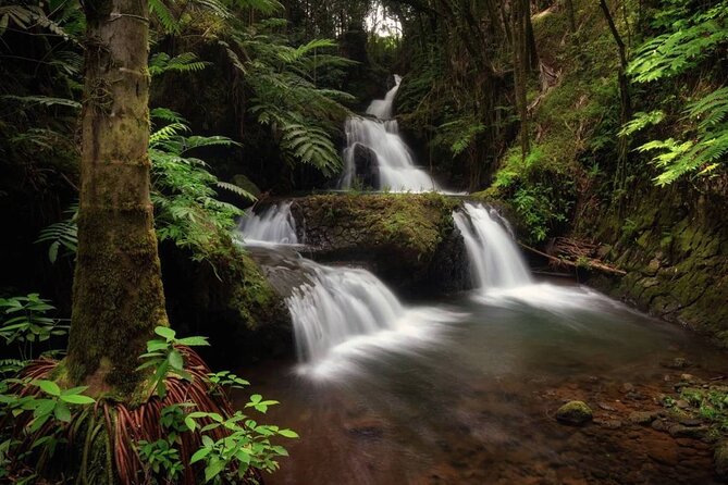 Big Island Waterfalls Tour with Swimming and Botanical Garden - How Long in Advance Should You Book?