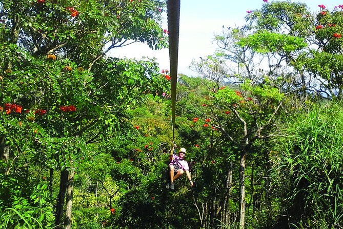 Big Island Zipline Adventure - An Overview of Big Island Zipline Adventure