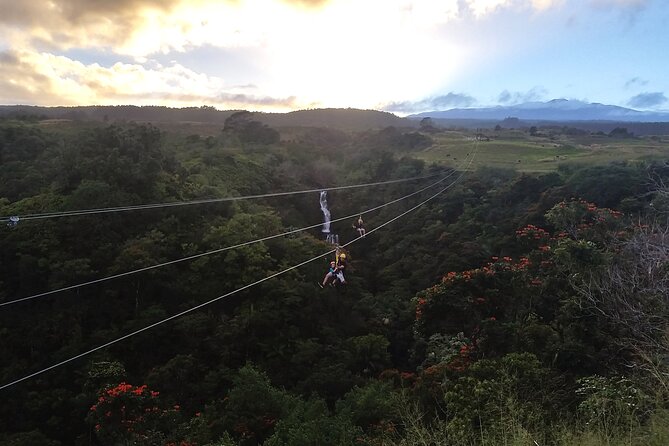 Big Island Zipline Adventure - What You Can Expect from the Tour
