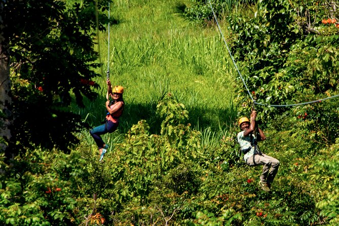 Big Island Zipline Adventure - The Sum Up: Who Will Love This Tour?