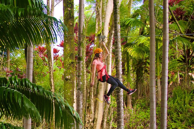 Big Island Zipline Adventure - FAQ