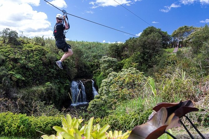 Big Island Zipline over KoleKole Falls - Who Should Consider This Tour?