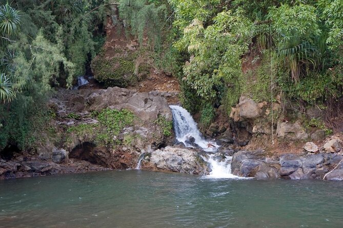Big Island Zipline over KoleKole Falls - Final Thoughts