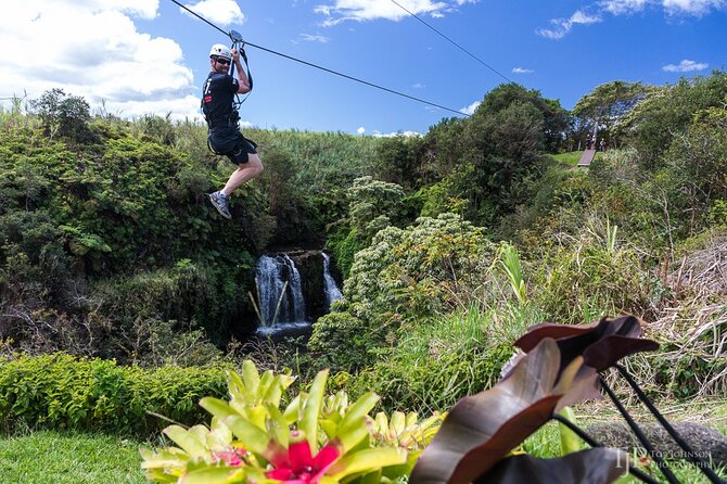 Big Island Zipline over KoleKole Falls w/ Hilo Cruise Ship Pickup - The Itinerary in Detail