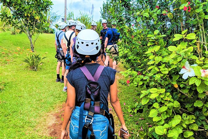 Big Island Zipline over KoleKole Falls w/ Hilo Cruise Ship Pickup - Who Will Love This Tour?