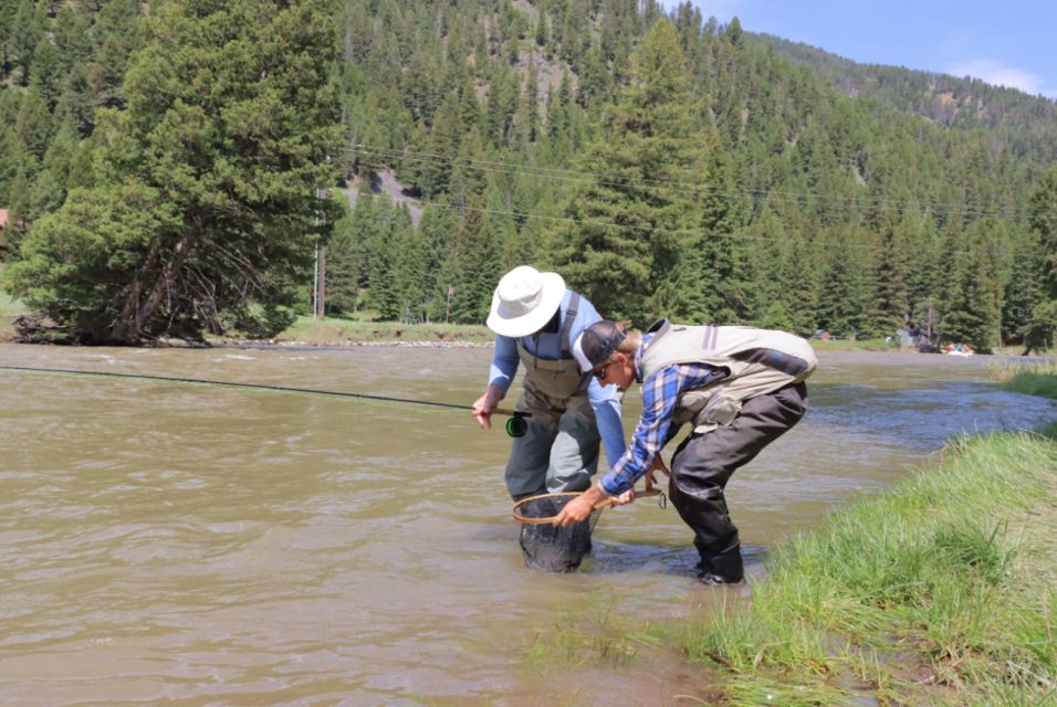 Big Sky: Learn to Fly Fish on the Gallatin River (3 hours) - What to Expect from the Experience