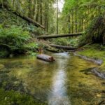 Big Sur Monterey 17 Mile Private Tour from San Francisco 1-12 ppl - Practical Details and What to Expect