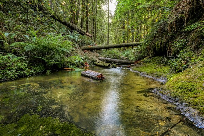 Big Sur Monterey 17 Mile Private Tour from San Francisco 1-12 ppl - Practical Details and What to Expect