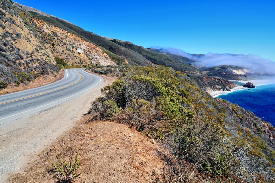 Big Sur: Sightseeing Tour with 4 to 5 Stops - What’s Included and What’s Not