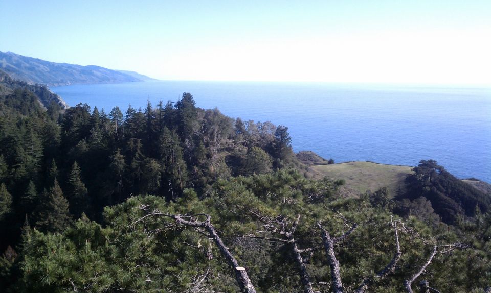 Big Sur: Sightseeing Tour with 4 to 5 Stops - Why the Tour Works