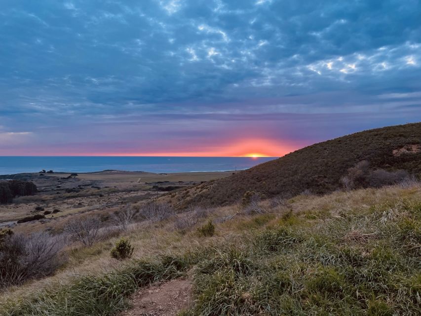 Big Sur's Old Coast Road E-Bike Tour - Key Points