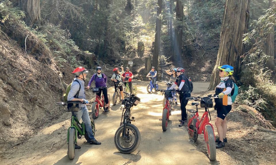 Big Sur's Old Coast Road E-Bike Tour - What’s Included and What You Should Know