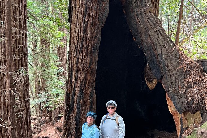 Big Sur's Old Coast Road eBike Tour - Who Will Love This Tour?
