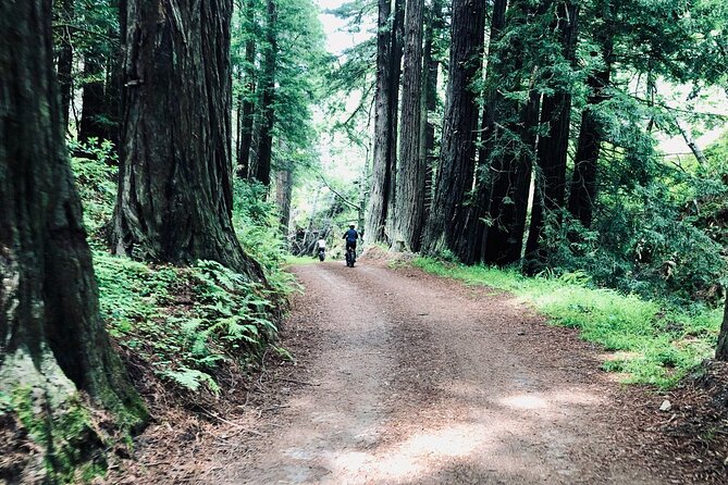 Big Sur's Old Coast Road eBike Tour - FAQ