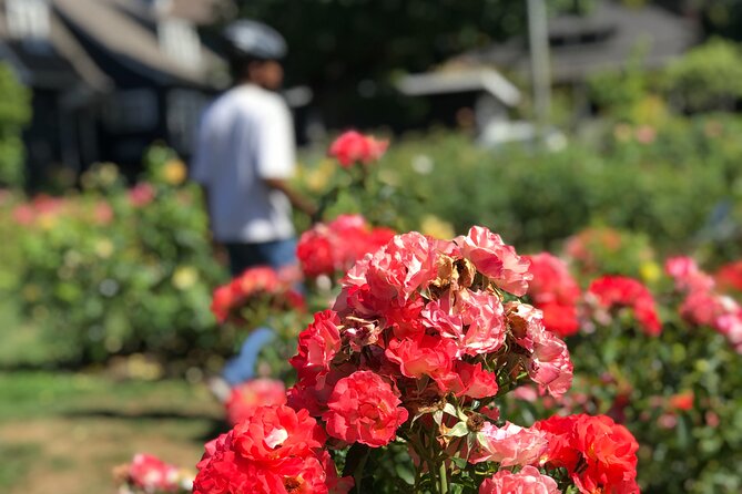 Bike Around Portland Oregon: Art, Culture, Bridges, Poetry - Final Thoughts