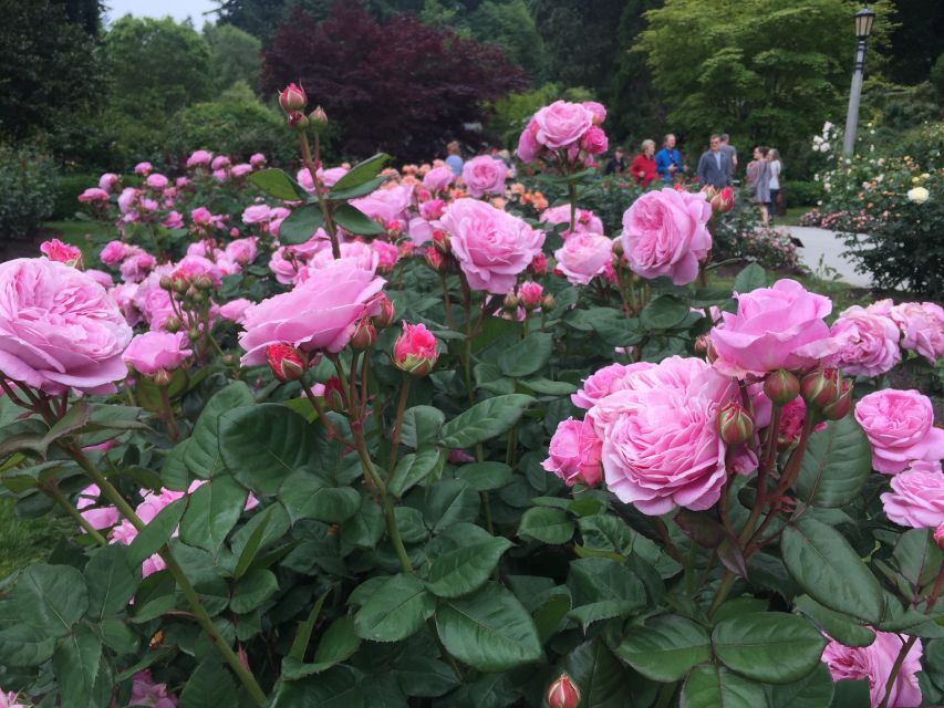 Bike Portland: Bridges, Neighborhoods, Poetry, and Roses - FAQs