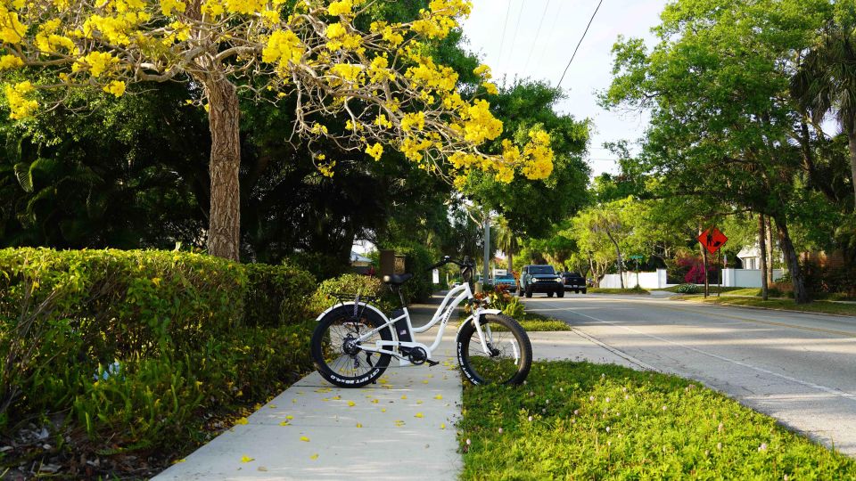 Bike Rental - The Sum Up