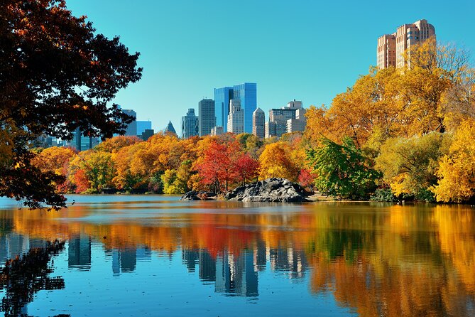 Bike Rental in NYC Central Park - Reviews: Authentic Voices and Insights