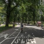 Bike Rental NYC Central Park - Why This Bike Rental Is a Smart Choice