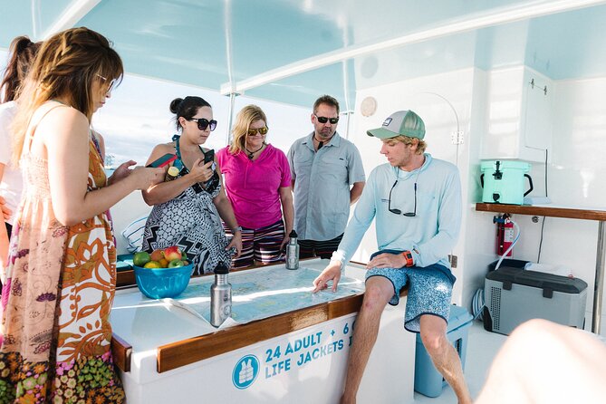 Biologist Owned & Operated: Dolphin Watching & Guided Snorkeling - An In-Depth Look at the Experience