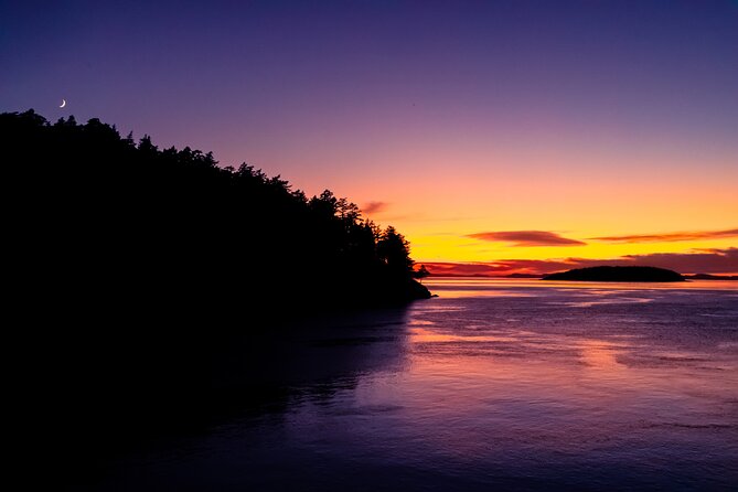 Bioluminescence and Sunset Kayak Tour in the San Juan Islands - Key Points