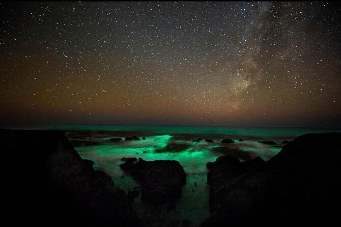 Bioluminescence and Sunset Kayak Tour in the San Juan Islands - Why This Tour Is Worth Considering