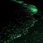 Bioluminescence and Sunset Kayak Tour in the San Juan Islands - Final thoughts
