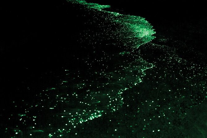 Bioluminescence and Sunset Kayak Tour in the San Juan Islands - Final thoughts